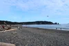 First Beach | Olympic Hiking Co.