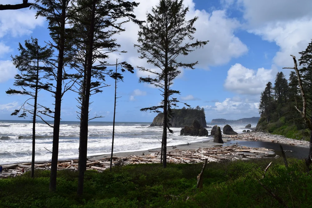 Ruby Beach | Olympic Hiking Co.