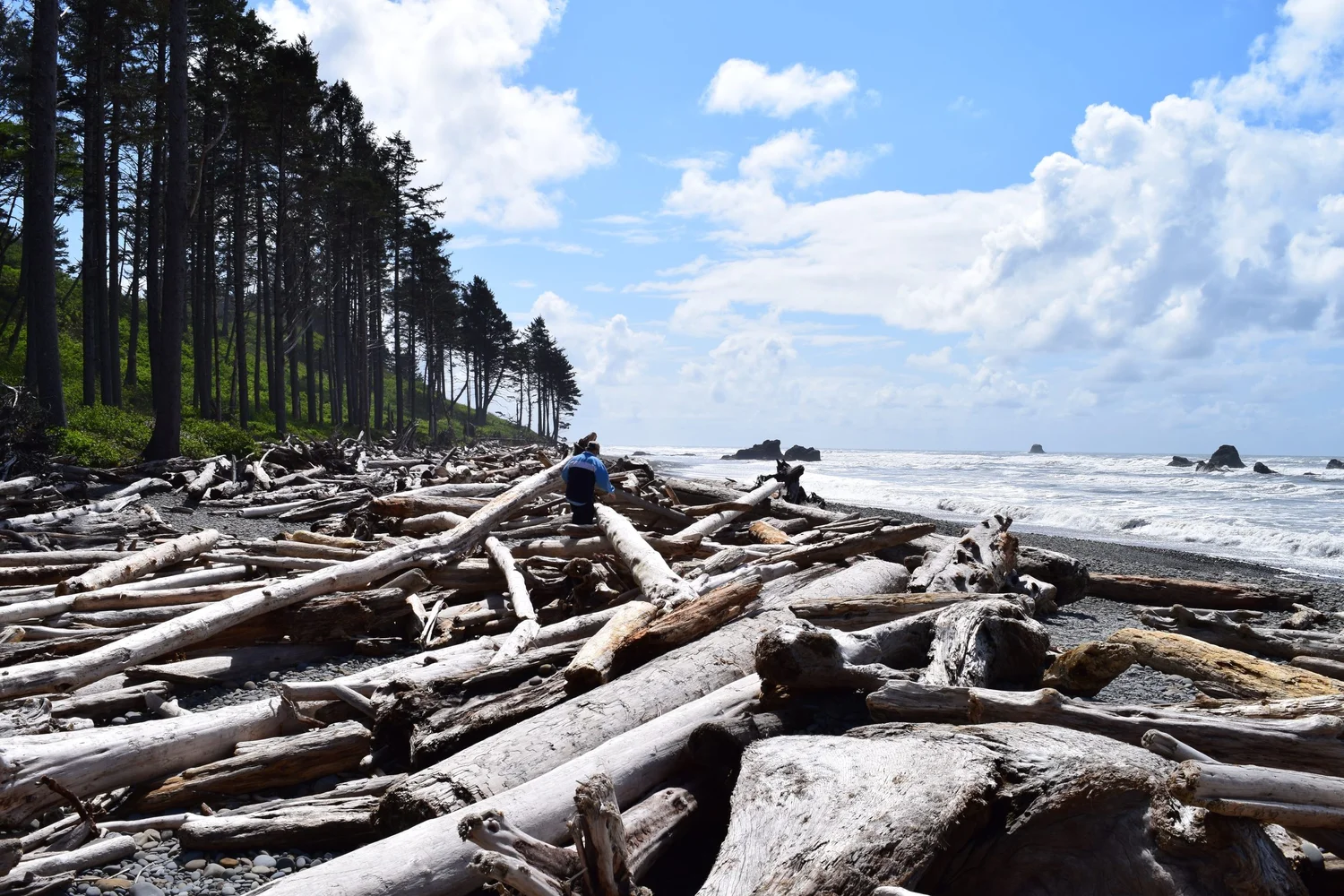 Ruby Beach | Olympic Hiking Co.