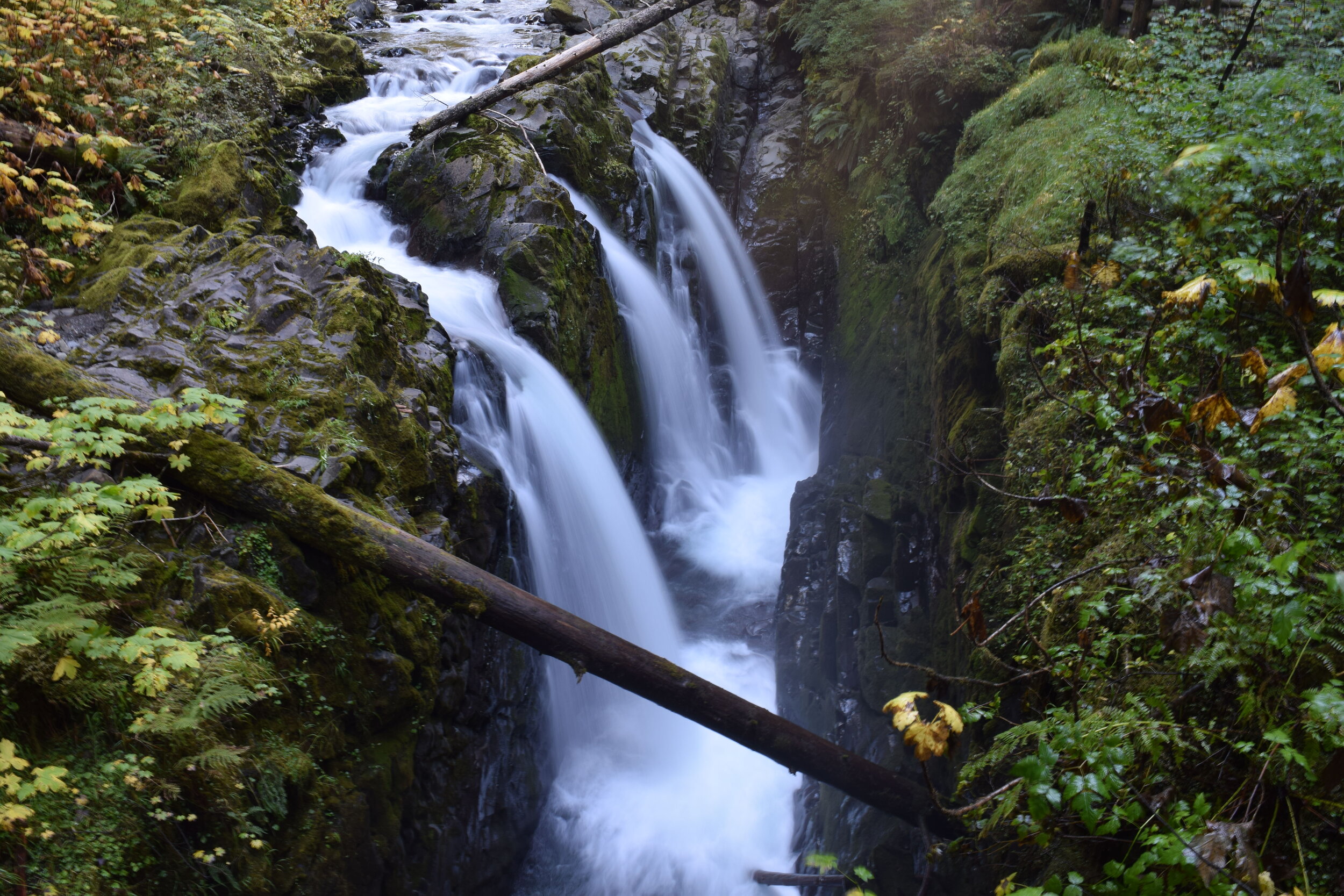 Seven Lakes Basin | Olympic Hiking Co.