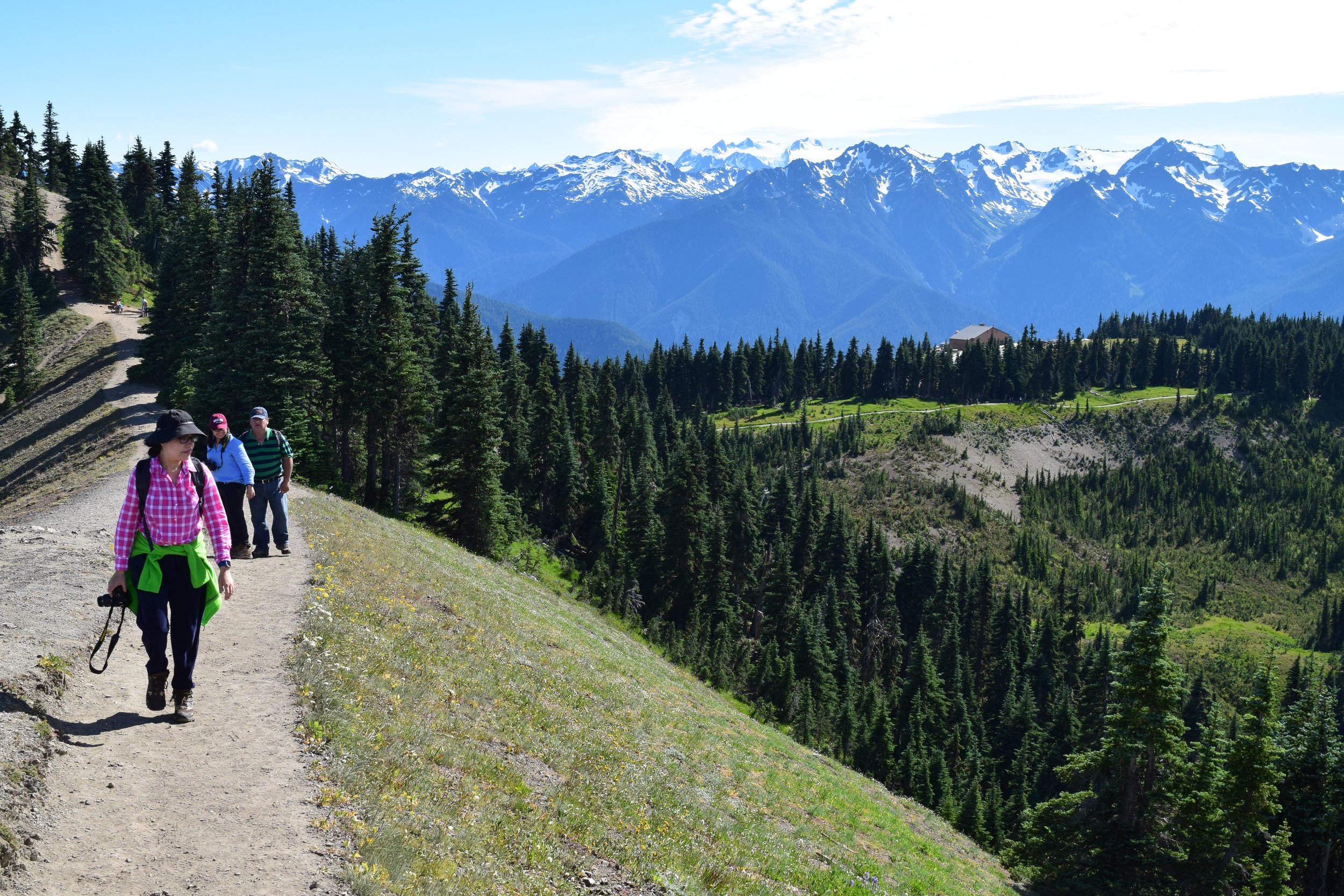 Sol Duc, Lake Crescent, and Hurricane Ridge Tour | Olympic Hiking Co.