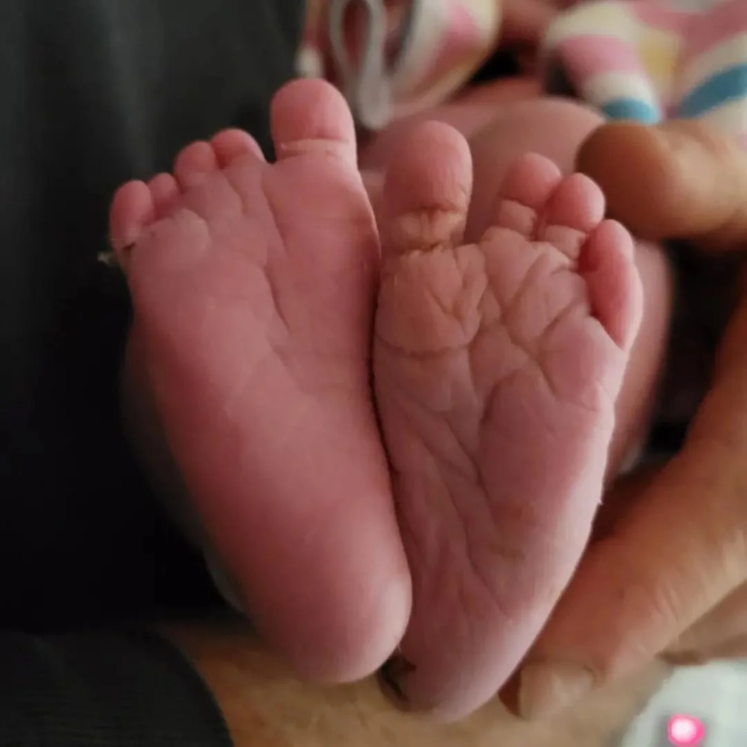 SOLID SIGNS - Signs - Murals - Design - illustration -Branding - Creative