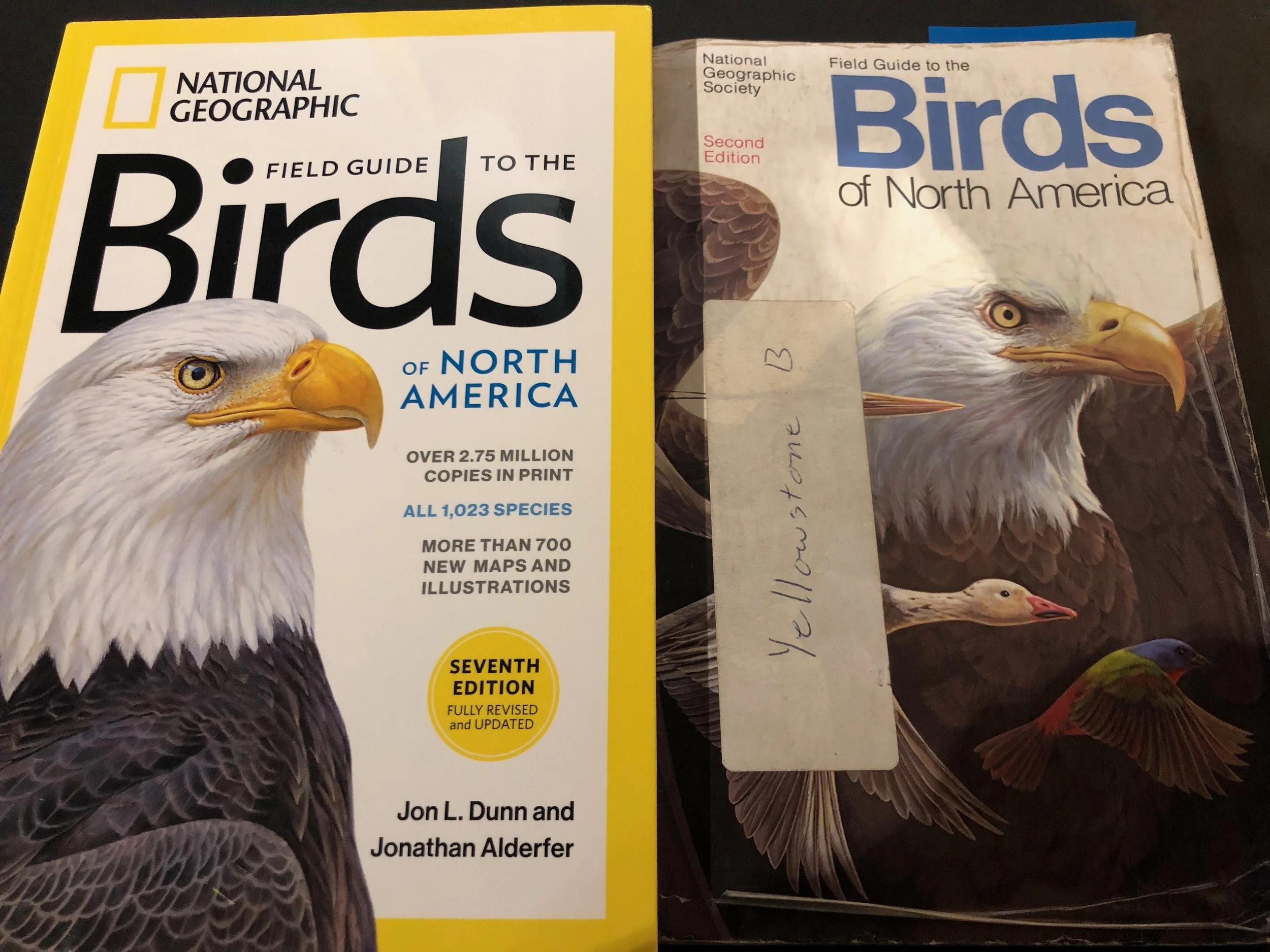 Seventh Edition of the National Geographic Field Guide — Birdchick