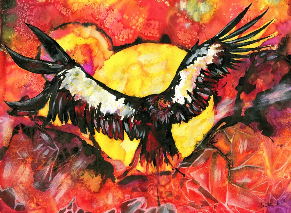 Condor Painting