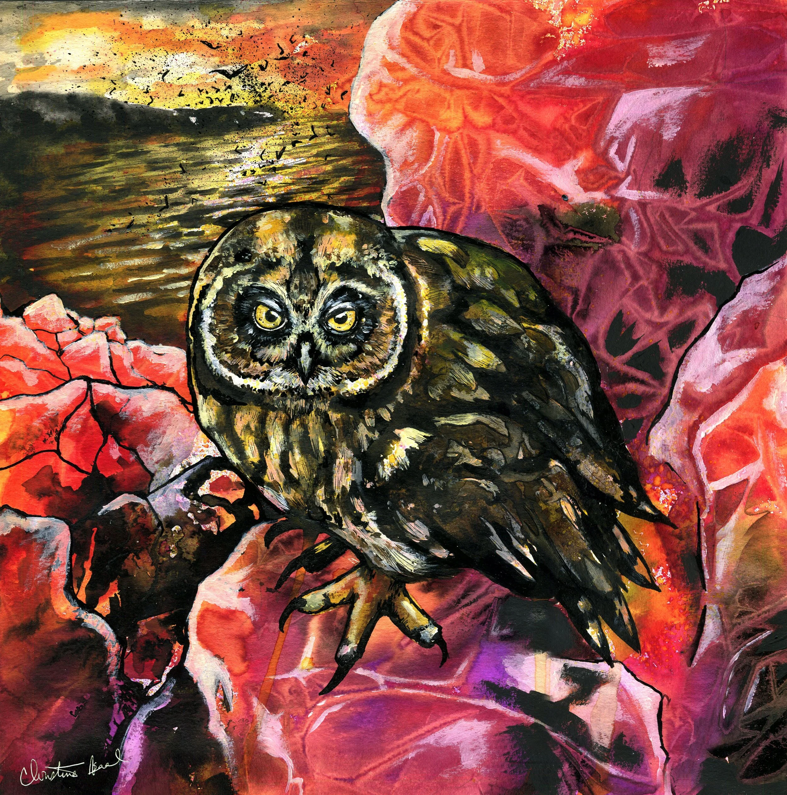 Owls and Raptors — Home