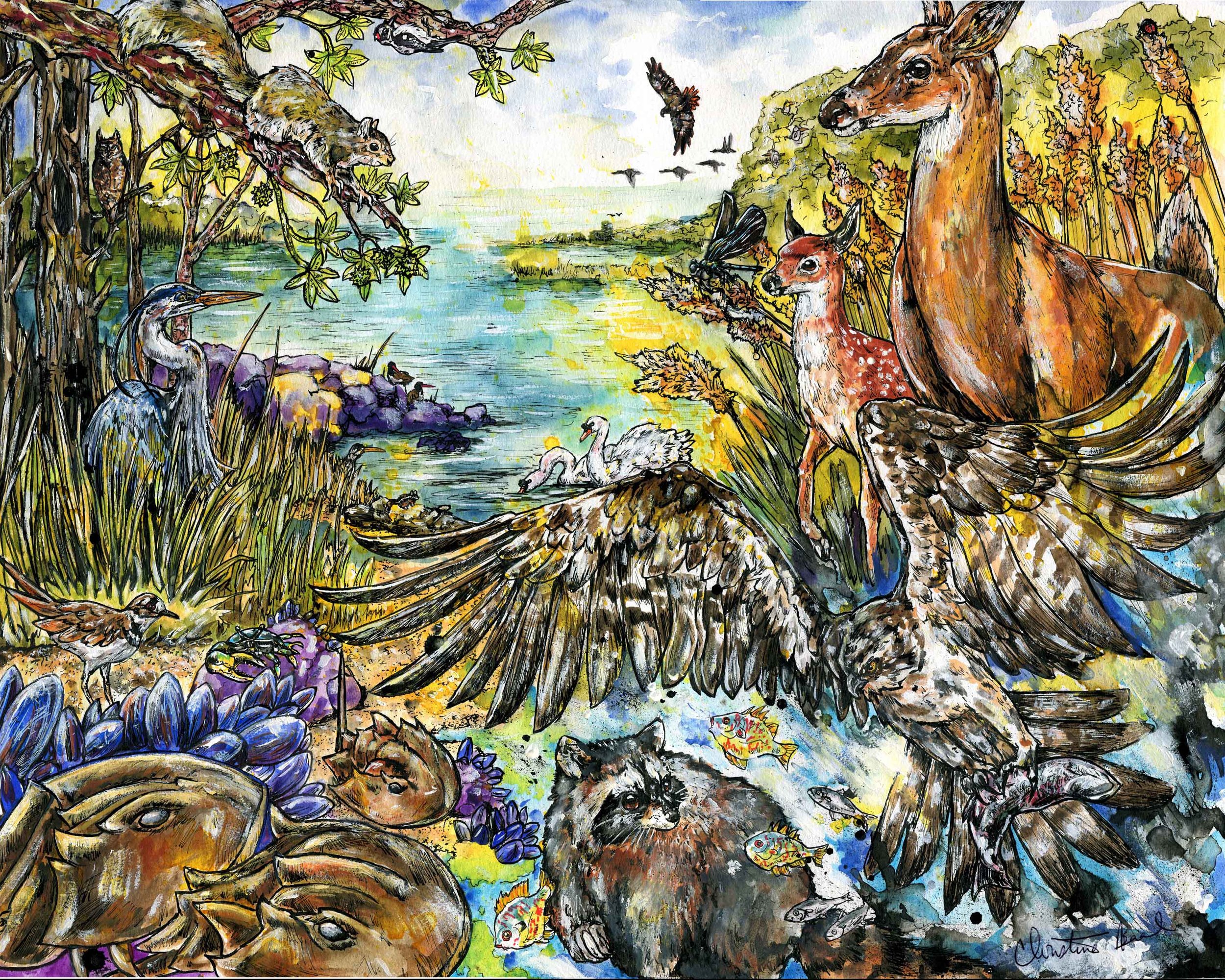Wildlife Paintings — Home