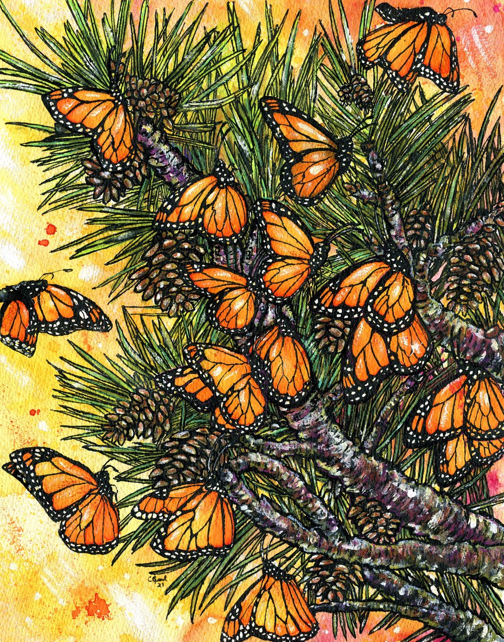 Monarch Butterfly Migration Tree
