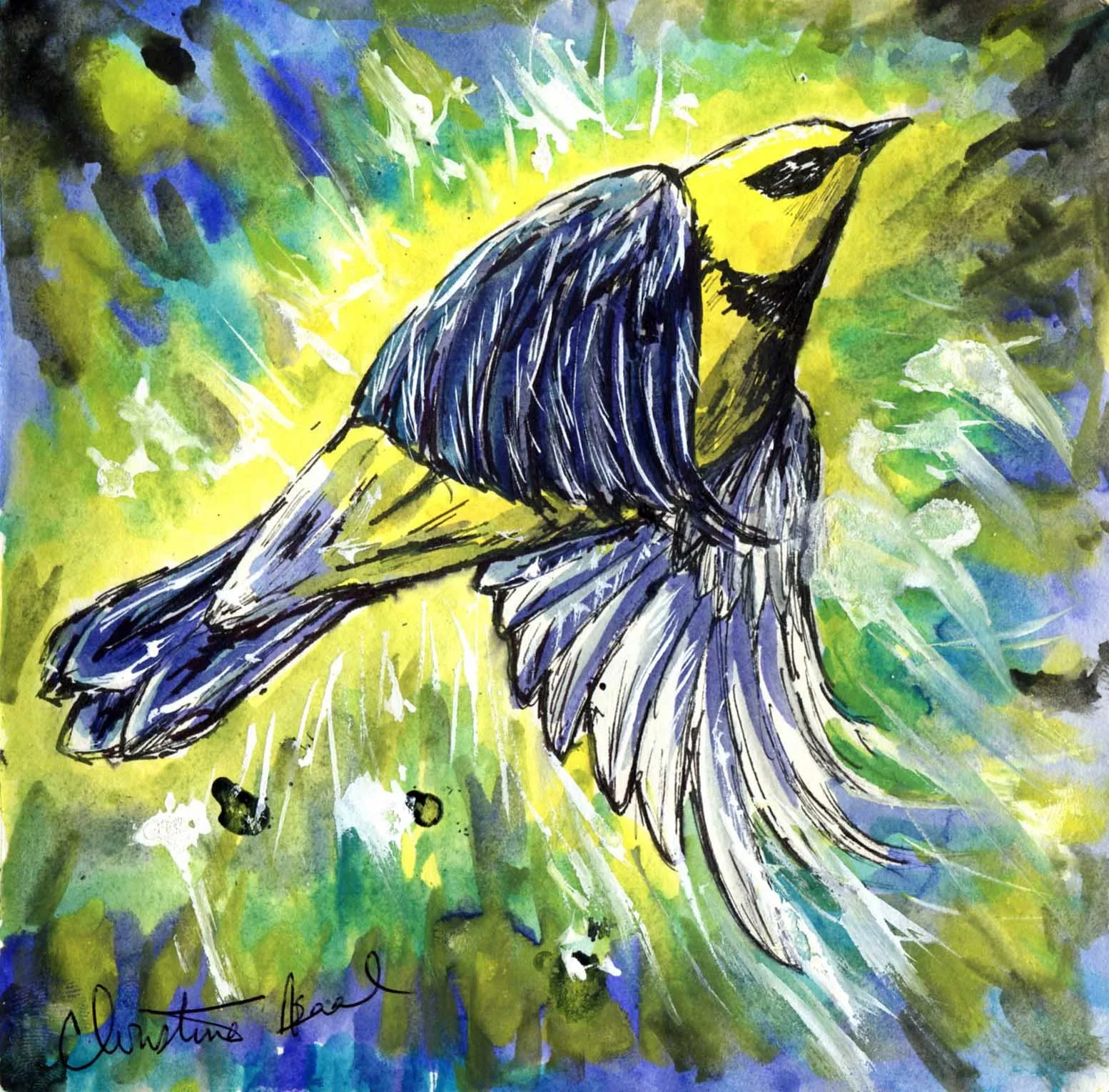 10,000 Birds — Home