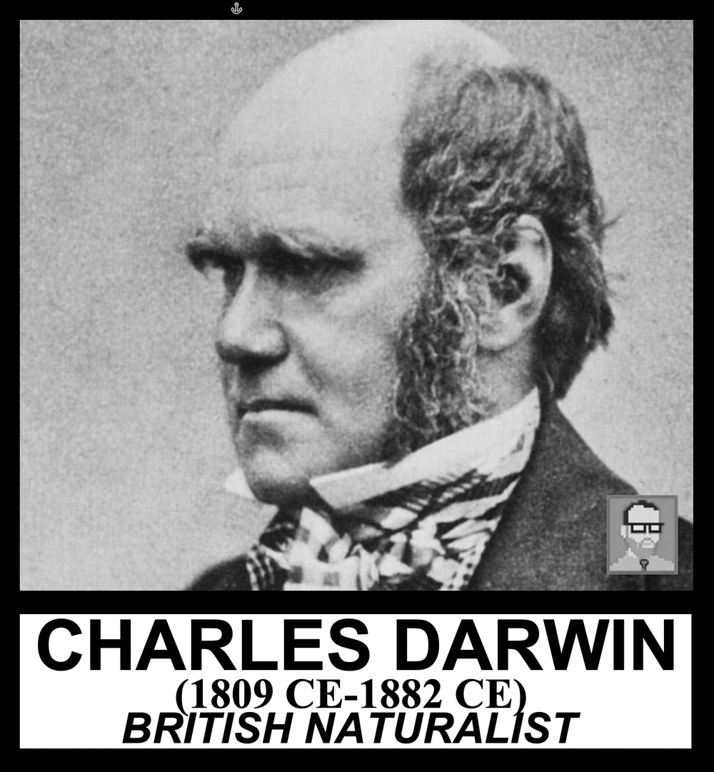 6.1 RATIONALE FOR IMPERIALISM — Freemanpedia