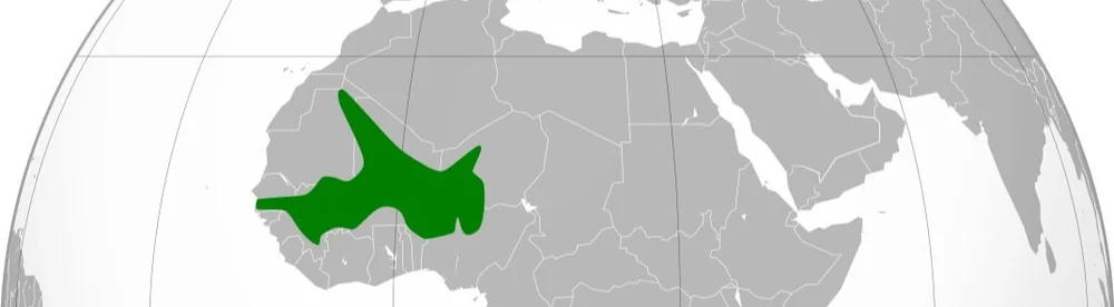 SONGHAI EMPIRE — Freemanpedia