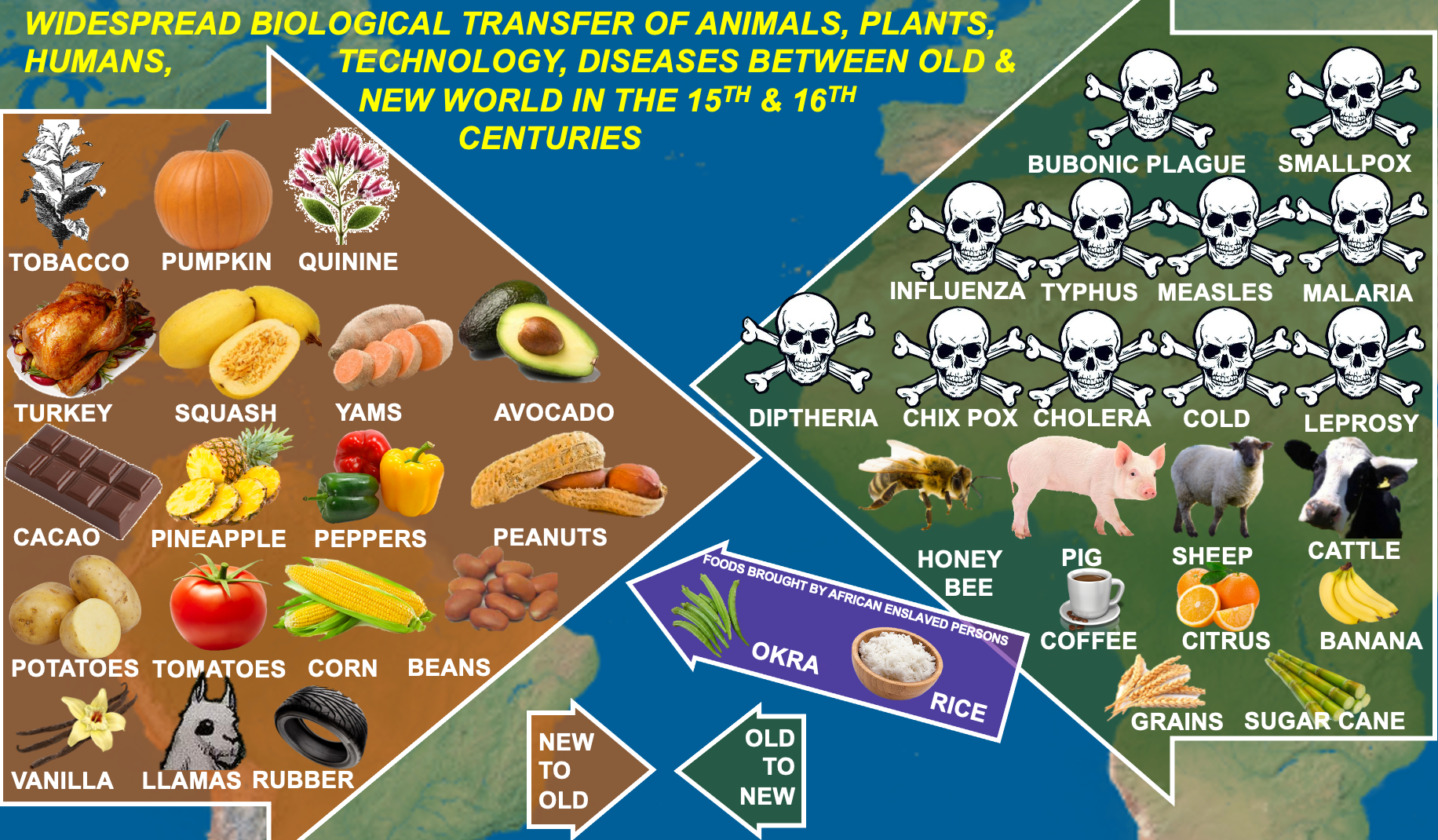 4.3 Columbian Exchange — Freemanpedia
