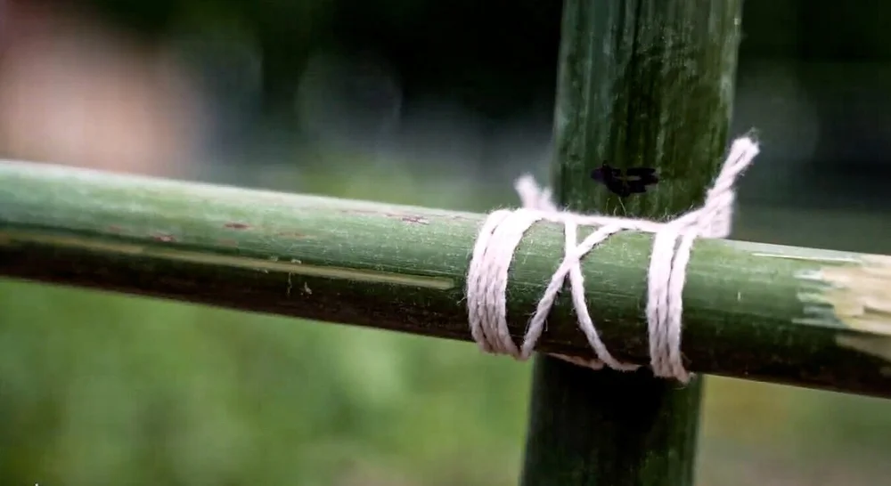 How to Make Useful and Sustainable Garden Structures — Anne of All Trades
