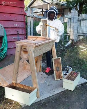Beekeeping on the Homestead — Anne of All Trades