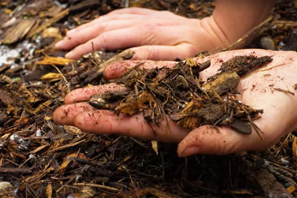 How to Fix Your Soil — Anne of All Trades