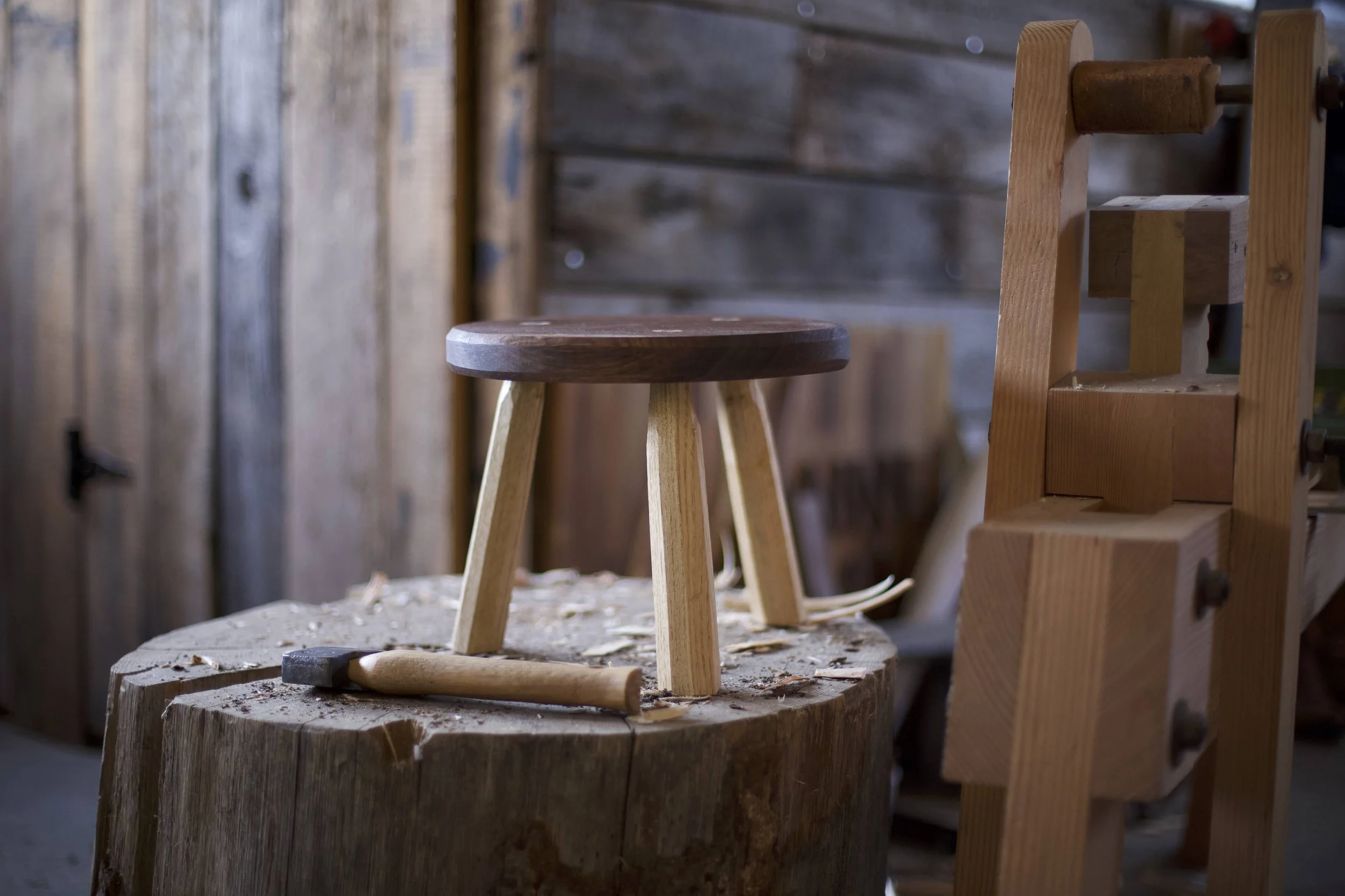 Stool Samples — Anne of All Trades