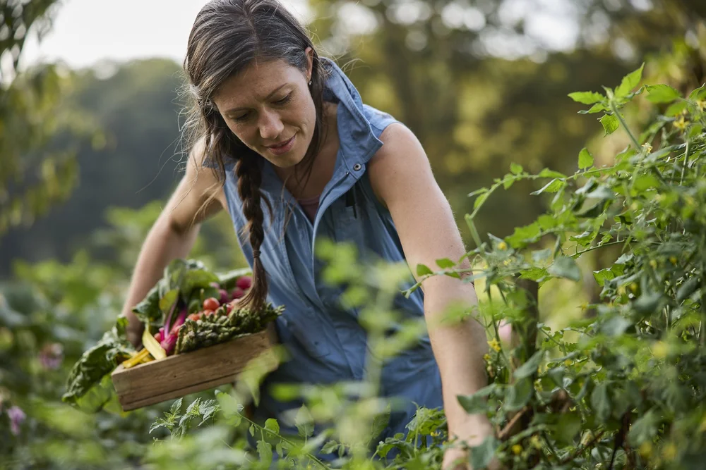 Where's Anne Been? The Worst and Best Season of my life... — Anne of ...