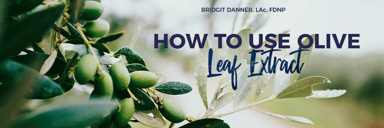 How to Use Olive Leaf Extract — Bridgit Danner, Holistic Detox Coach