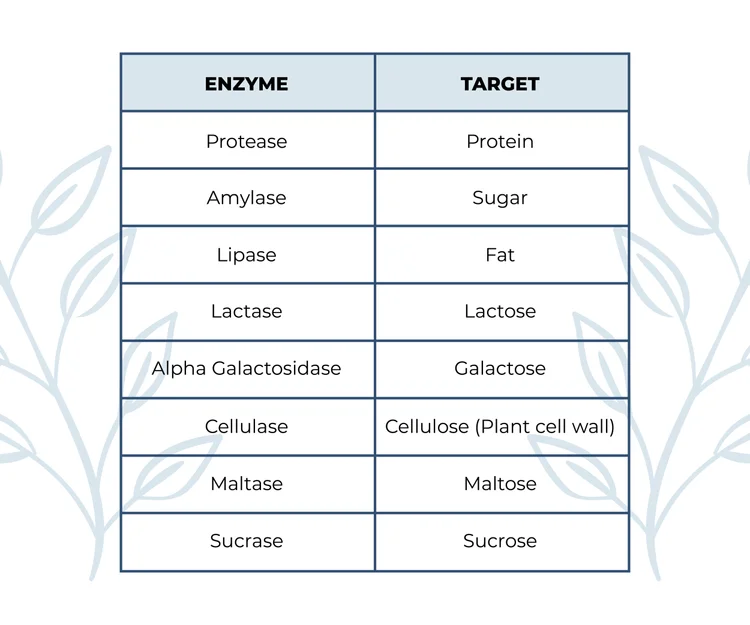 How to Support Digestion Naturally — Bridgit Danner, Holistic Detox Coach