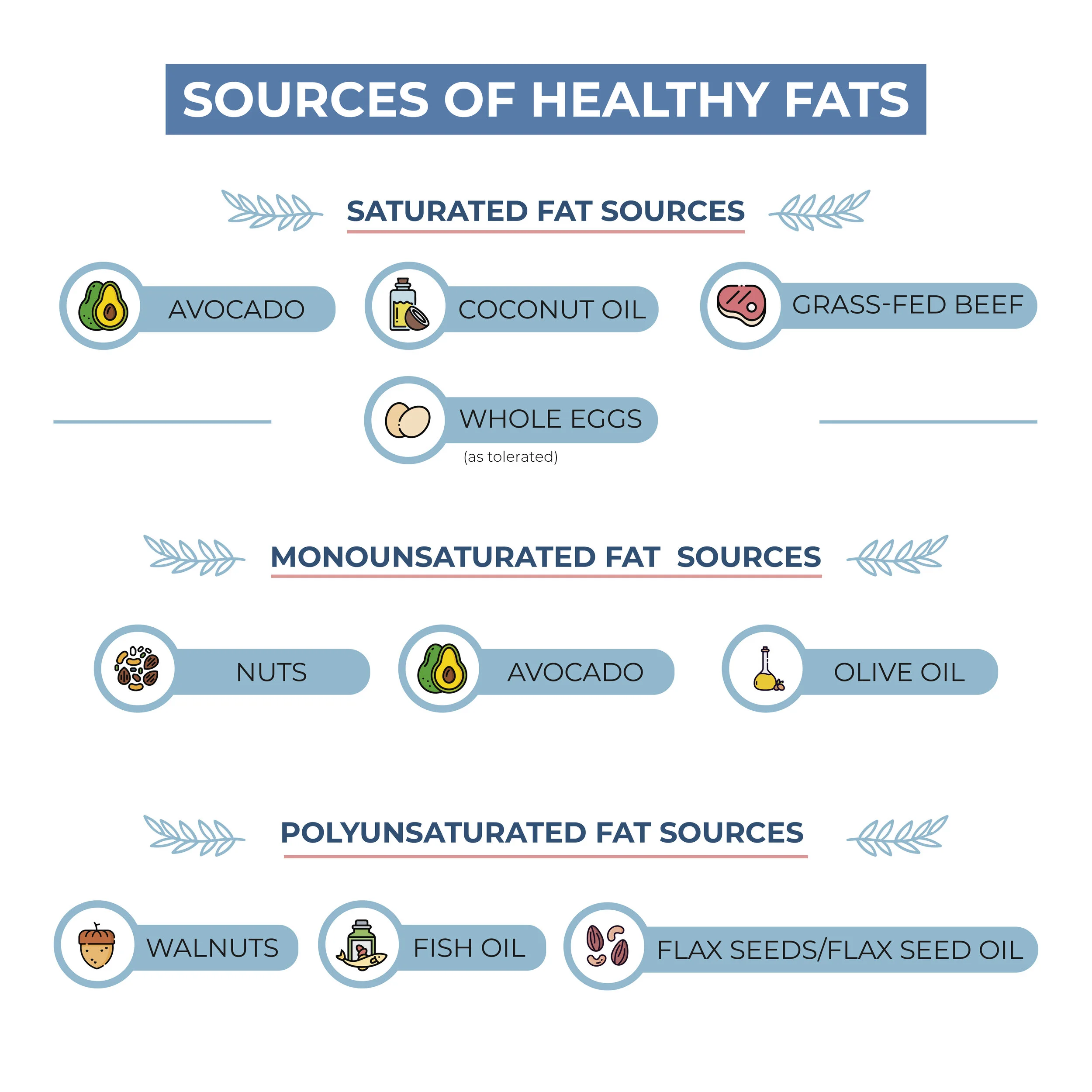 Healthy Fats for Immunity, Gut Health, and Inflammation — Bridgit Danner