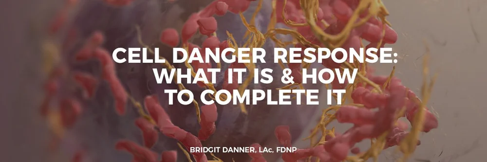 Cell Danger Response: What It Is & How to Complete It — Bridgit Danner ...