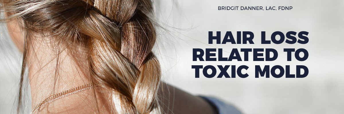 Hair Loss Related to Toxic Mold — Bridgit Danner, Holistic Detox Coach