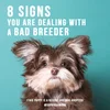 How to spot a bad breeder (slides) — Sophie Gamand