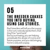 How to spot a bad breeder (slides) — Sophie Gamand