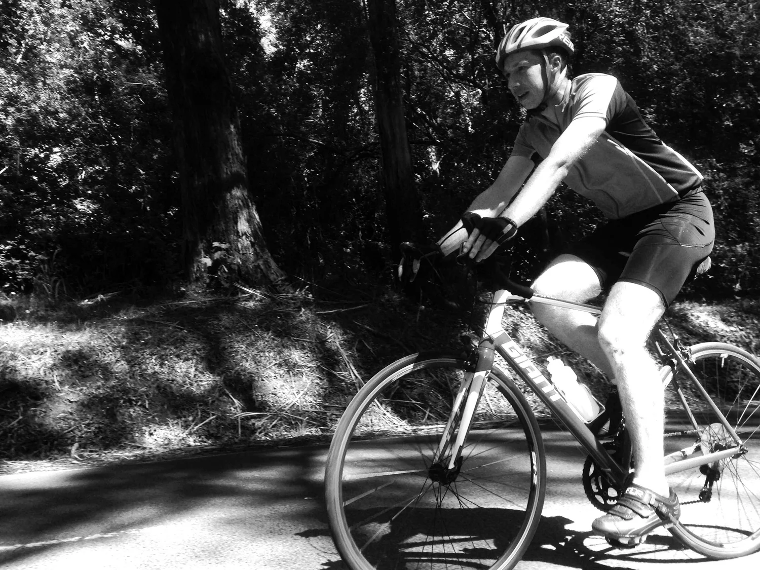 The Weekly Rider - Adam Dawson - LA VELOCITA.