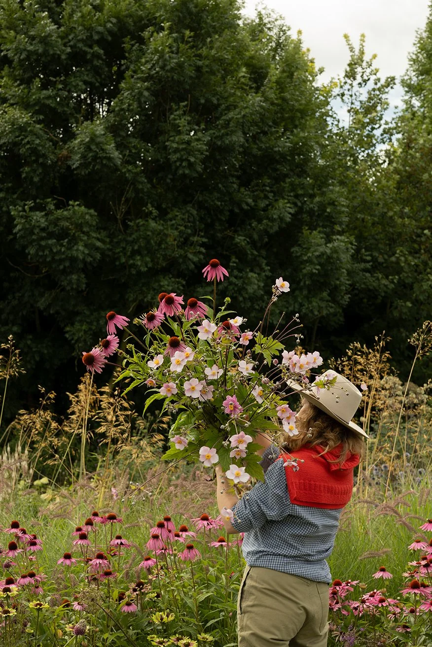 AESME STUDIO - About