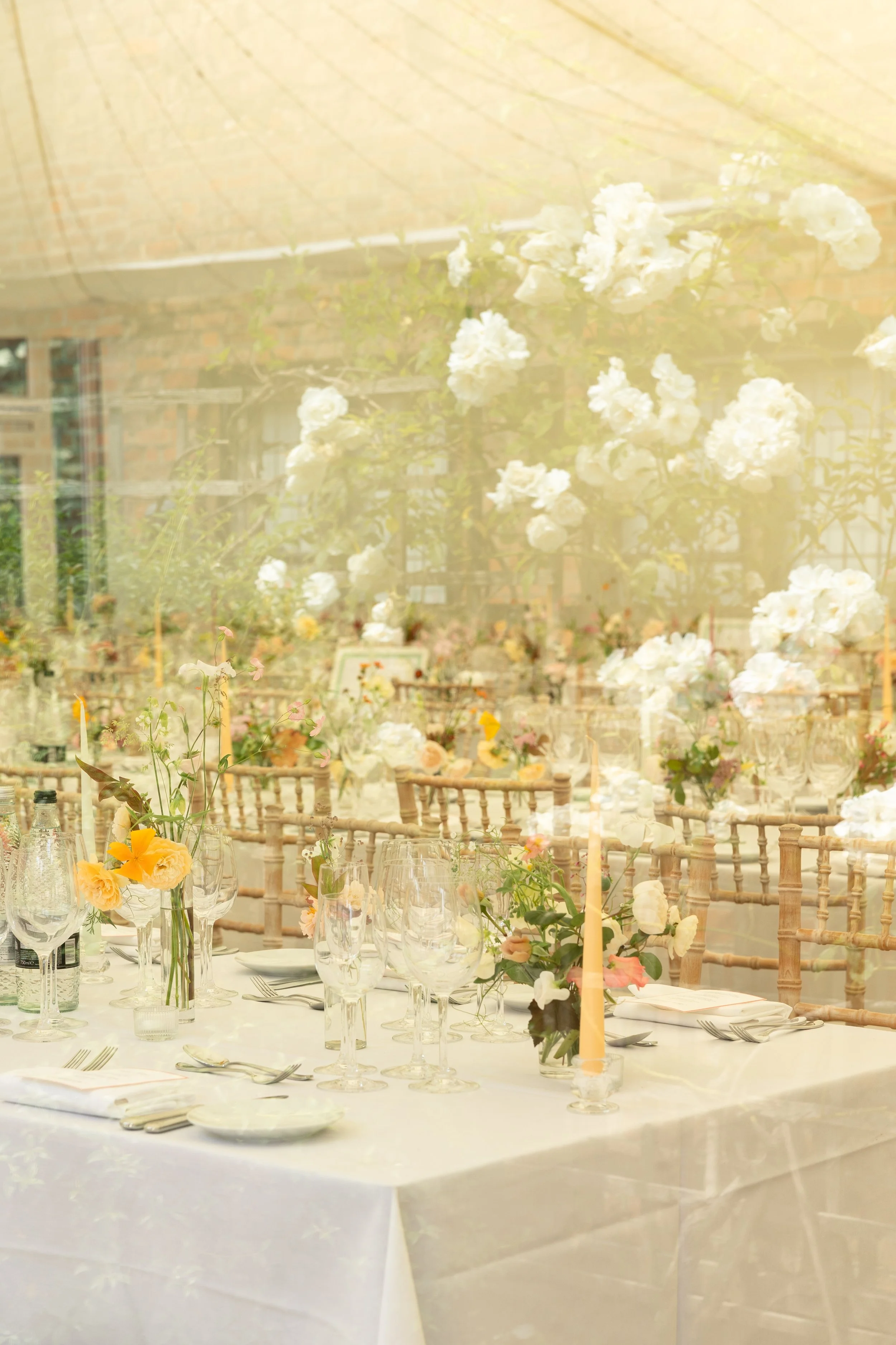 AESME STUDIO - Events