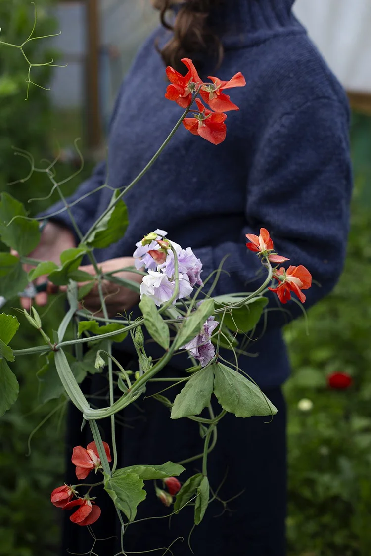 AESME STUDIO - Workshops