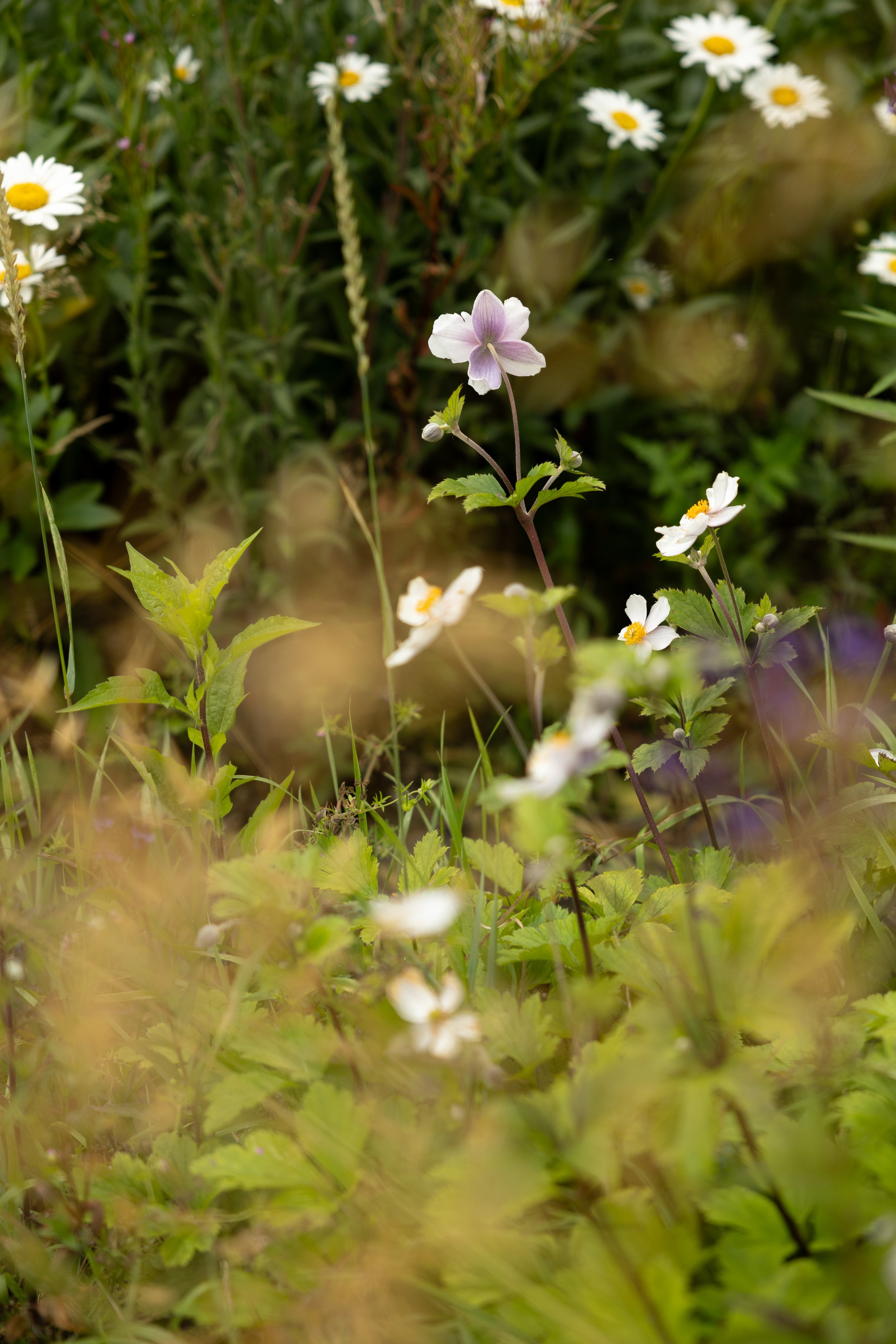 AESME STUDIO - Workshops