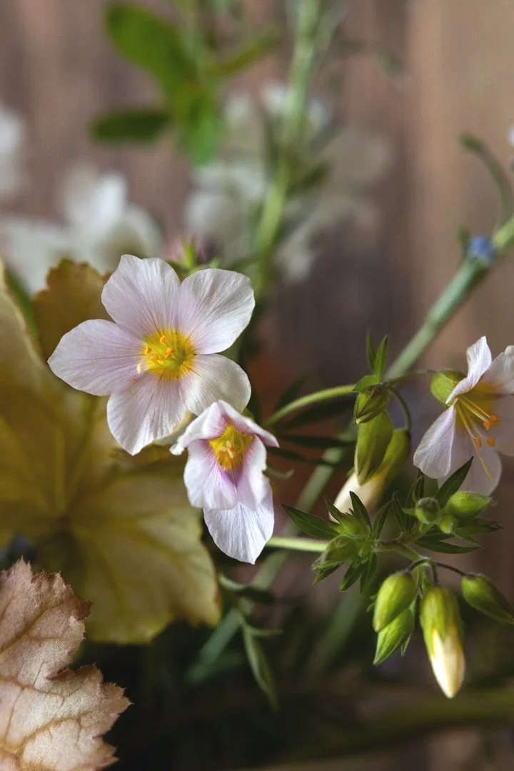 AESME STUDIO - Workshops