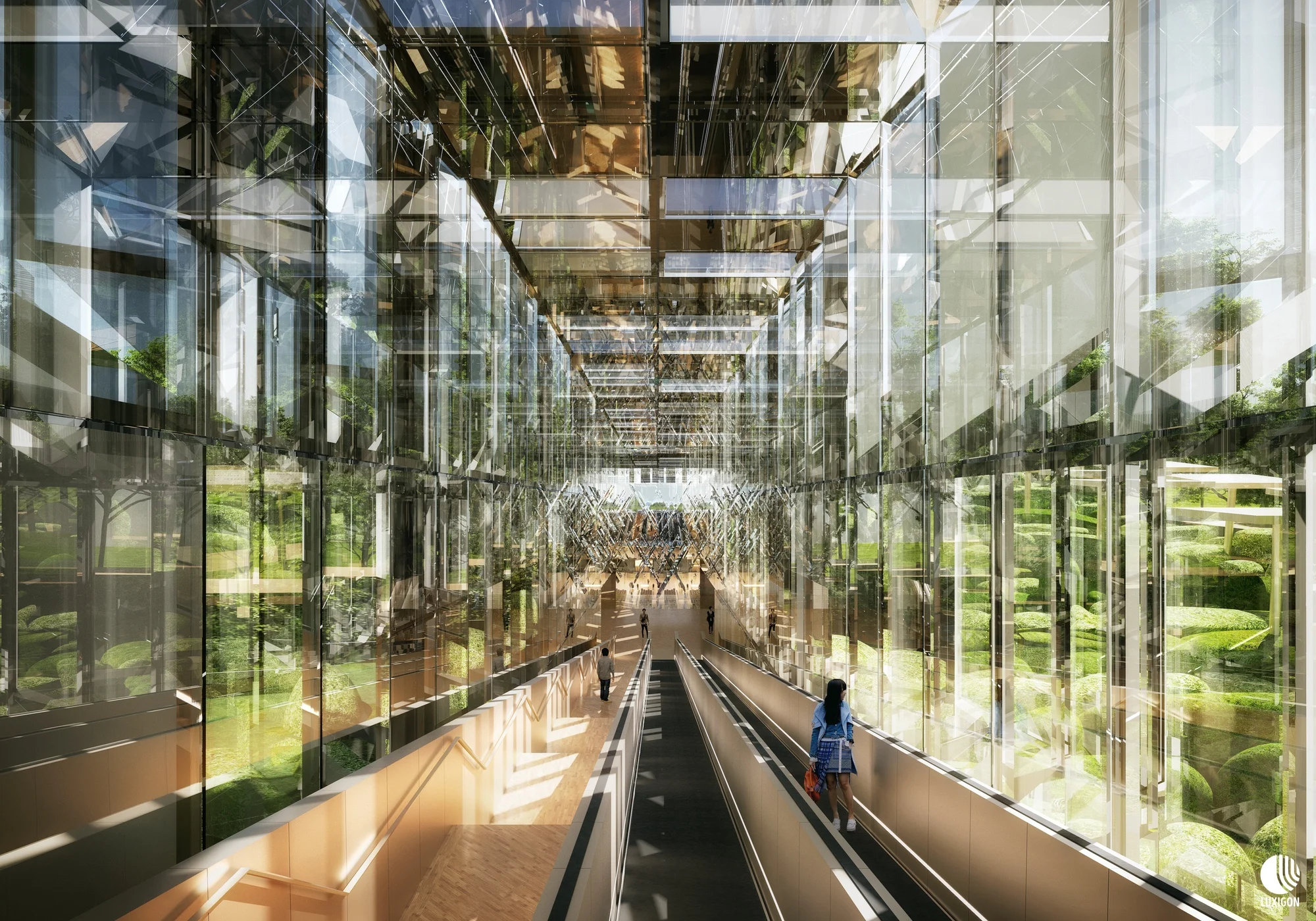 Luxigon - Images — Luxigon