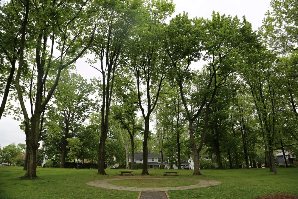 Chester Park Association