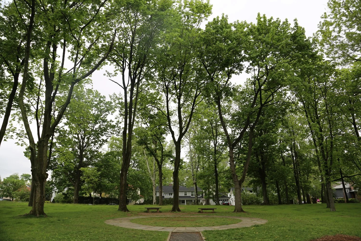 Chester Park Association