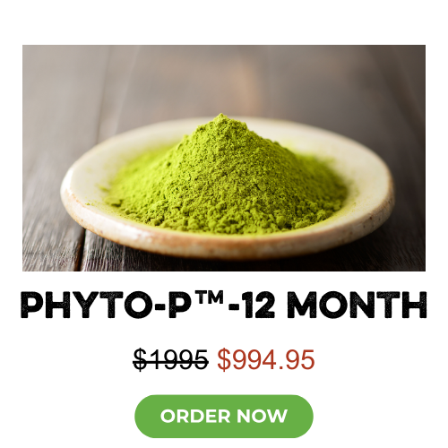 Phyto-P™ - An Antioxidant Powerhouse — Empowering Health With ...