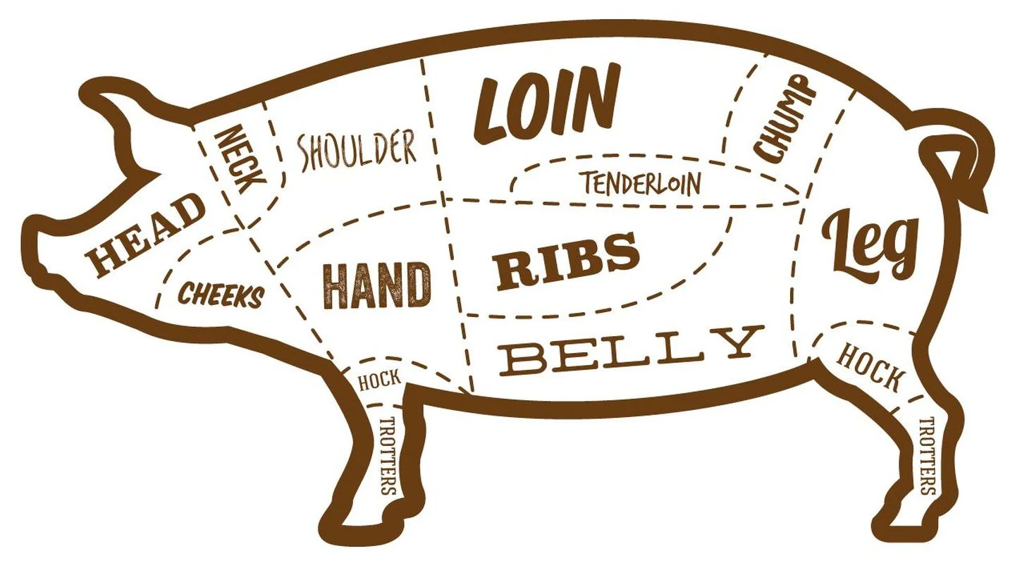 What Part Of The Pig Does Bacon Come From