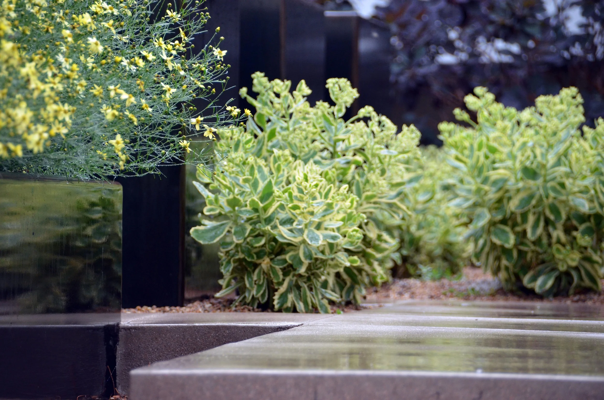 Landscape Design & Construction | Boulder, CO | EVOKE