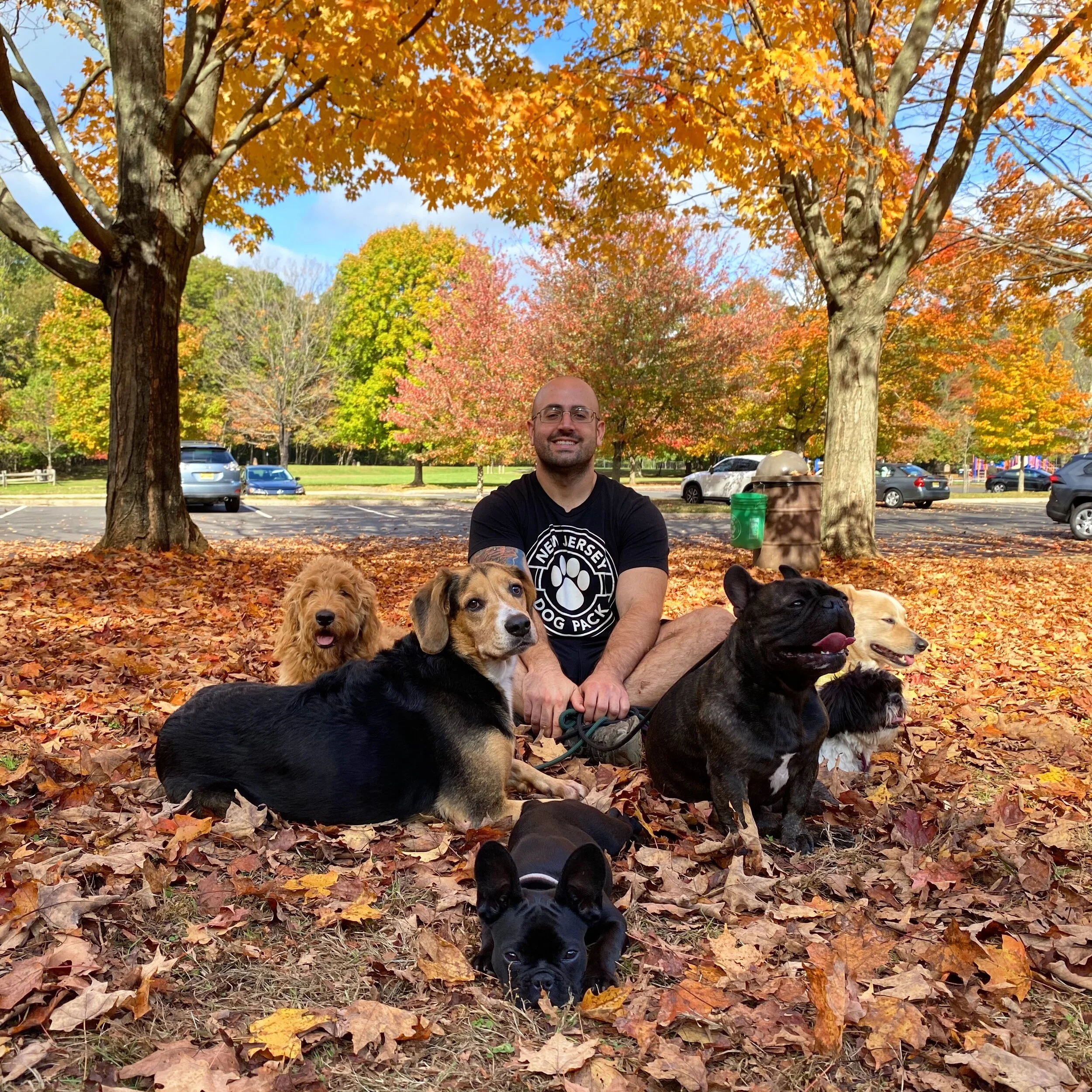 NJ Dog Pack — About Our Pack | NJ Dog Trainers | Dog Psychology | Dog ...