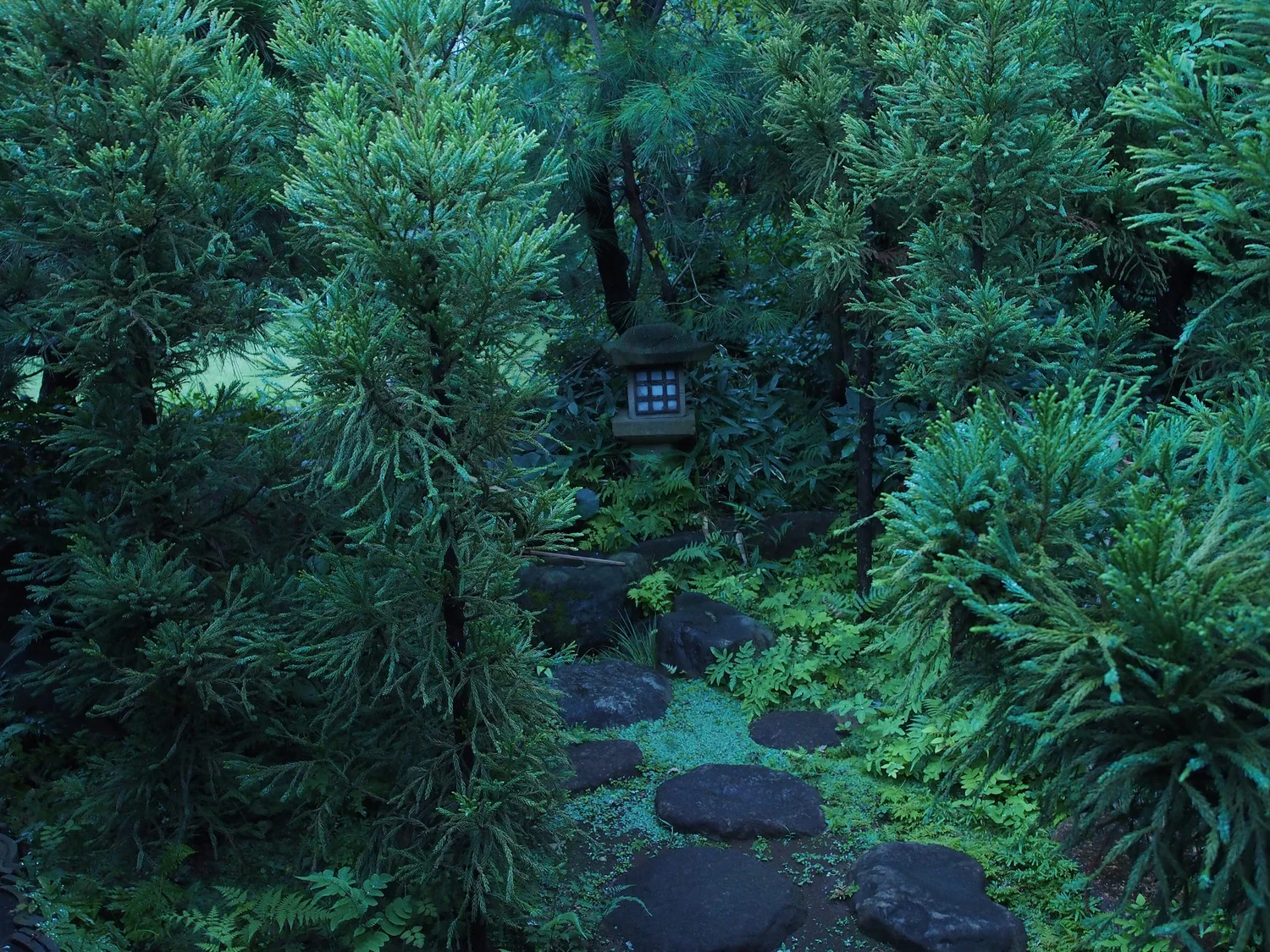 Large tea house with beautiful garden — TOKI
