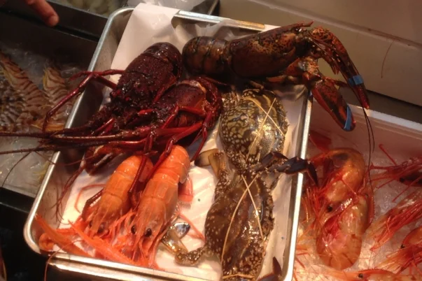 Experiences — TOKI