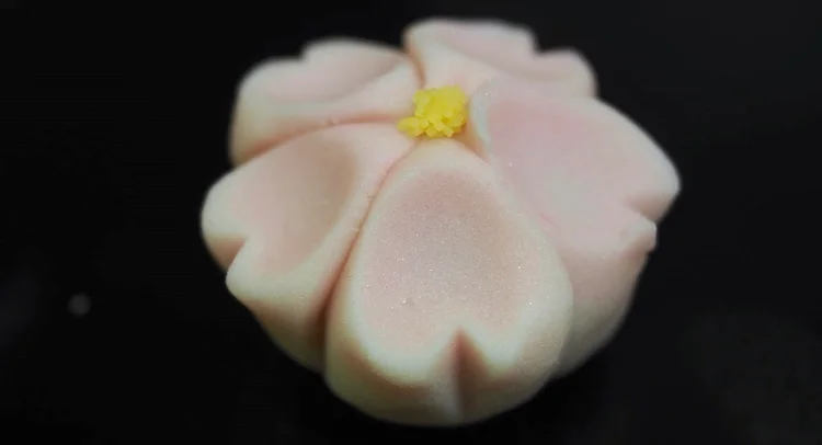 Wagashi Confectionary Making with a Prominent Japanese Patissier — TOKI