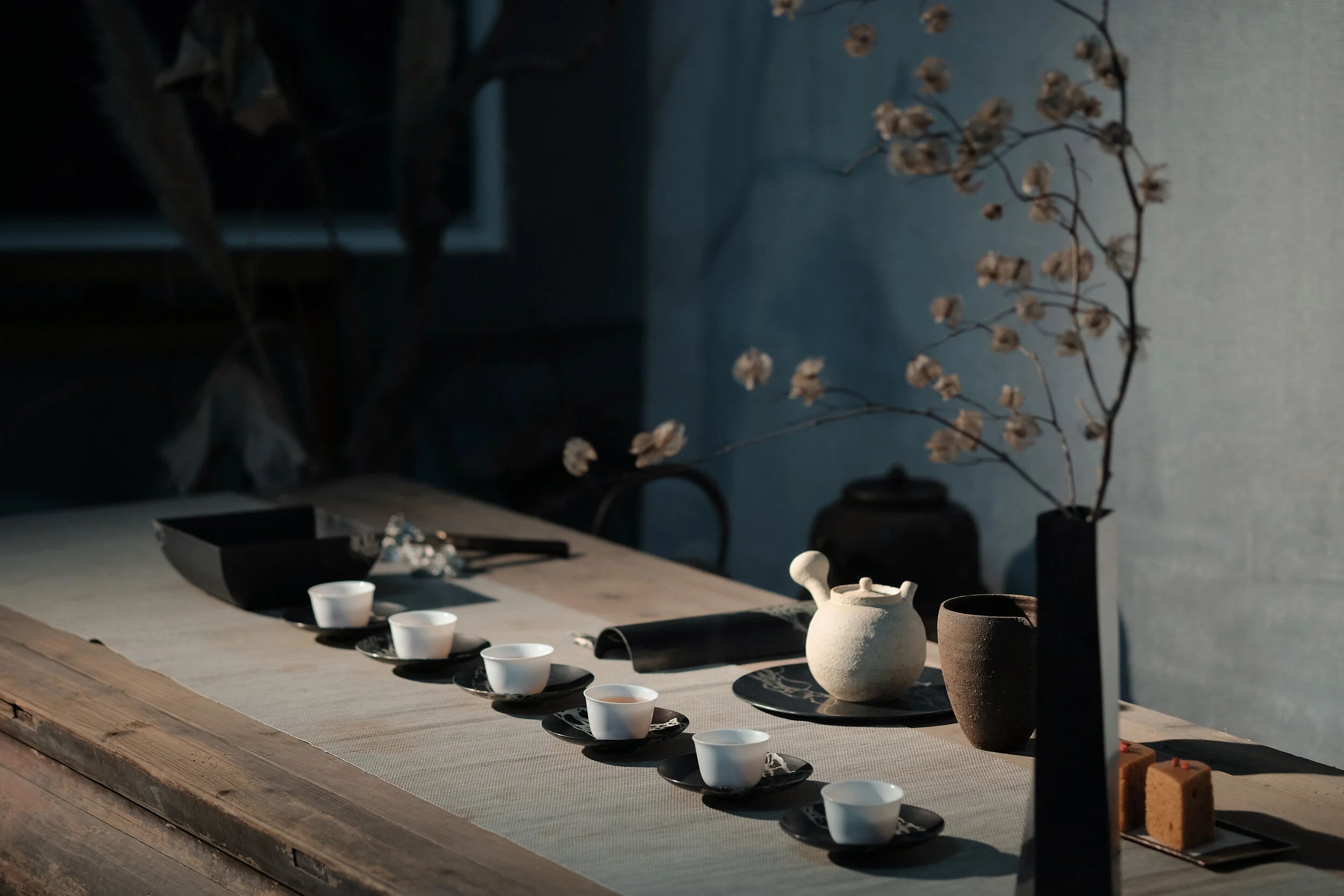Shop — TOKI