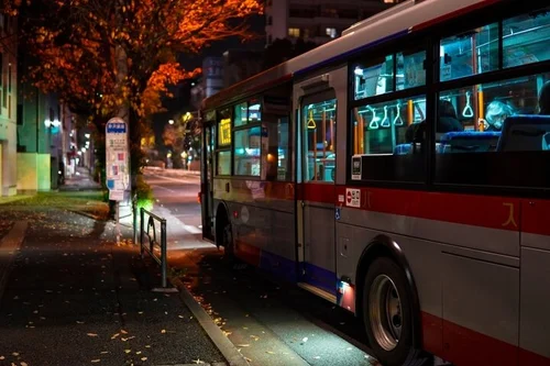 Tokyo City Guide — TOKI