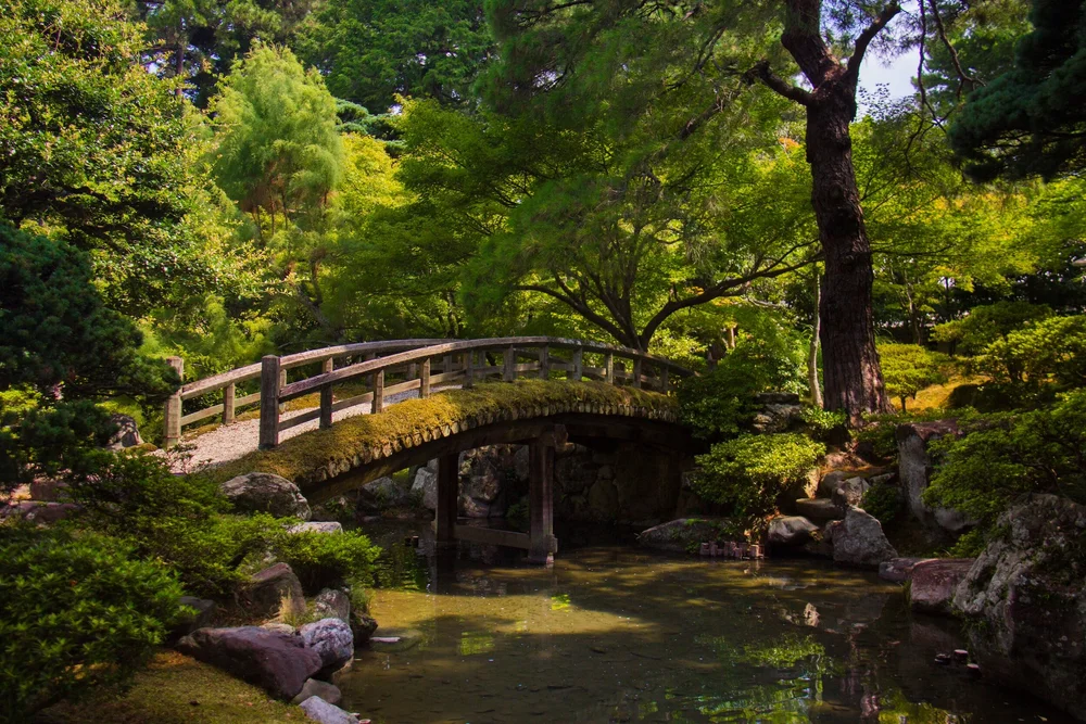 Biodiversity in Japan: A Review of Conservation Efforts and Challenges ...