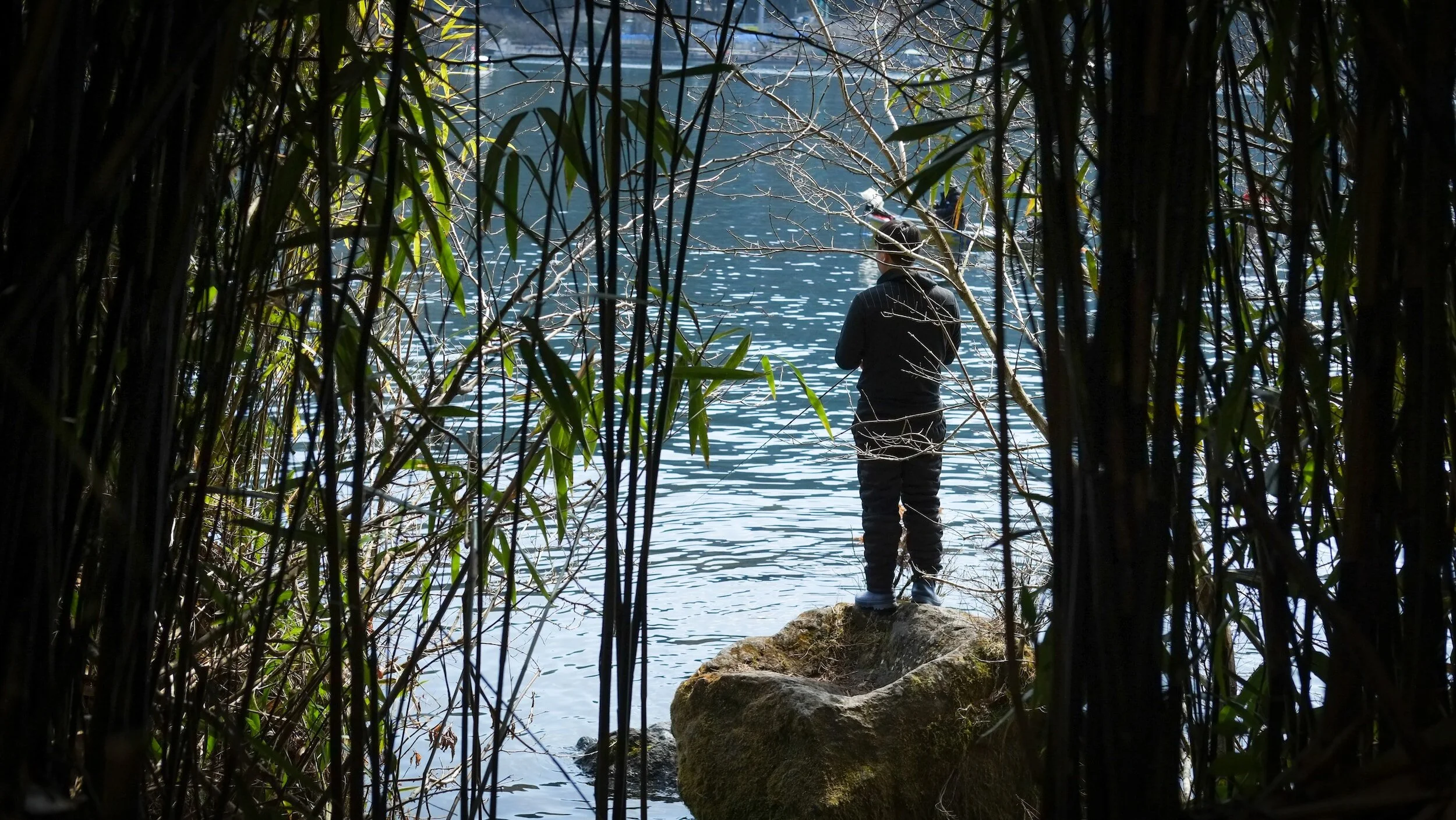 Biodiversity in Japan: A Review of Conservation Efforts and Challenges ...