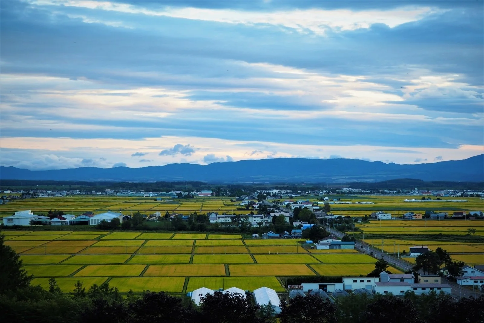 ARCHITECT - KENGO KUMA — TOKI