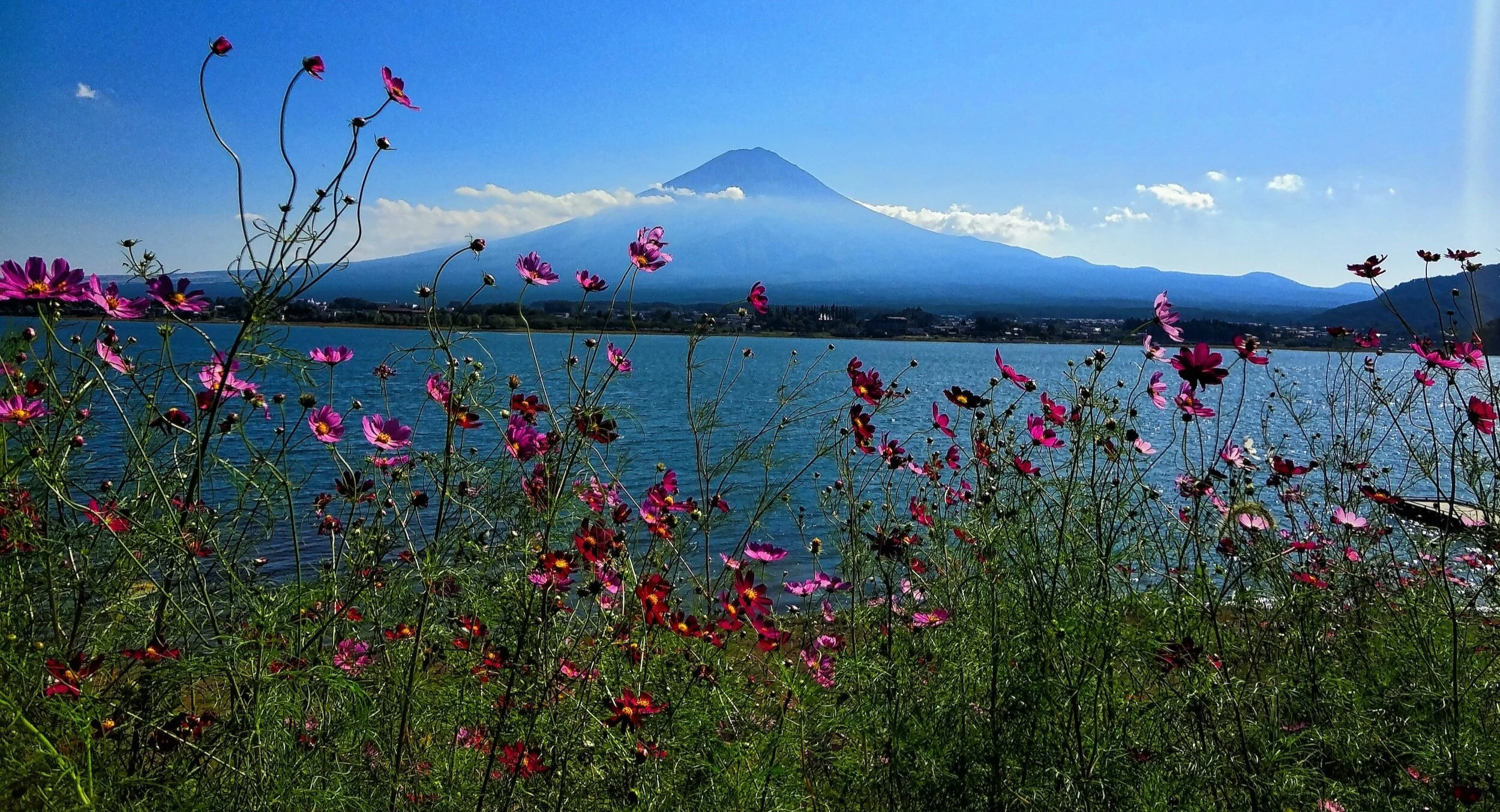 Experiencing the Enchanting Mt. Fuji — TOKI