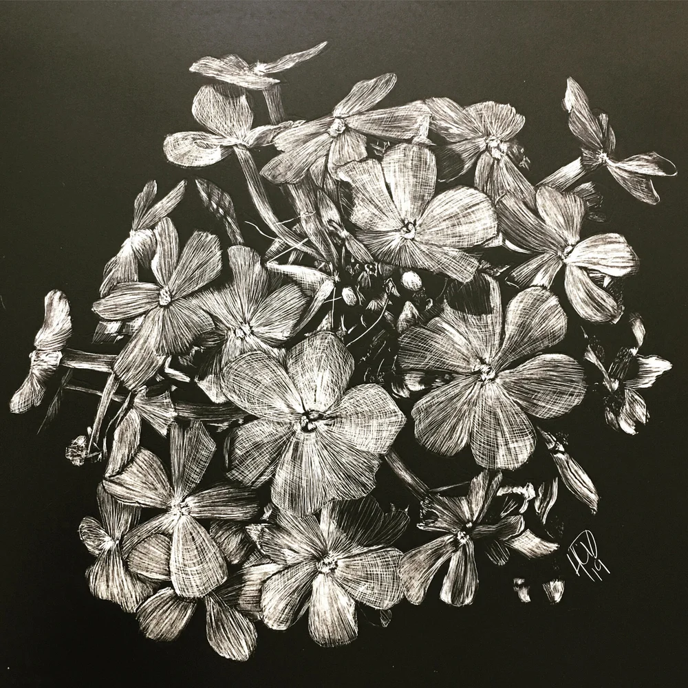 Flower Scratch Art